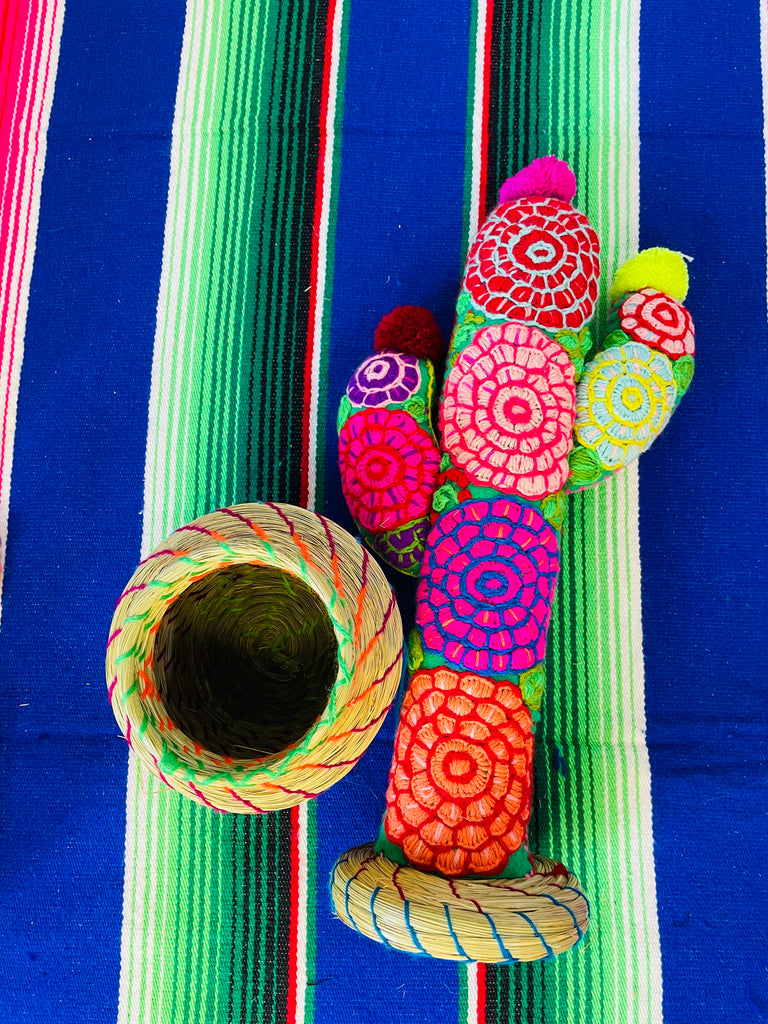 CASA CAMILLA – Chasing Camilla